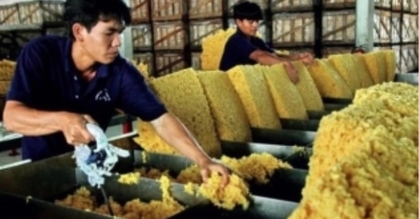 Rubber exports reach record high with positive outlook for 2025