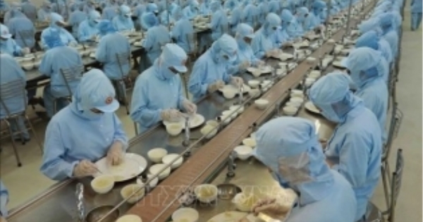 Vietnam marks first bird’s nest batch exported to China by air