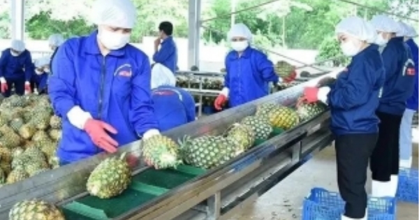Vietnam's fruit, vegetable exports near 7 billion USD target