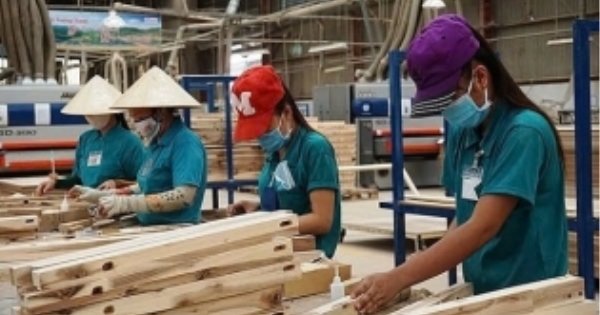 Vietnam’s wood exports surge in early 2025, but face mounting headwinds