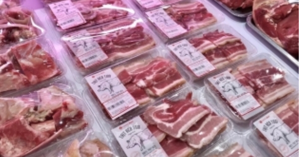 Vietnam's pork exports see strong growth as more businesses invest in ...