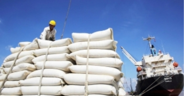 Vietnam strengthens rice exports to the Philippines amid trade growth