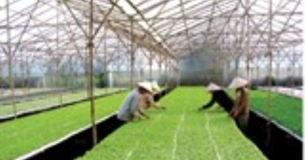 New rural development program realized