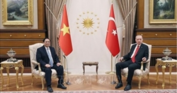 Vietnam, Türkiye to boost multifaceted cooperation