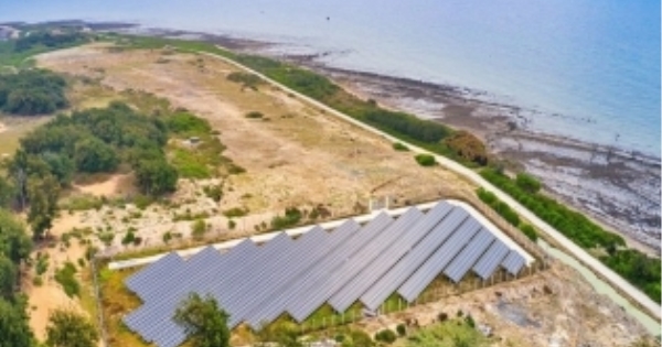 Việt Nam shows strong political commitment to maximising green energy ...