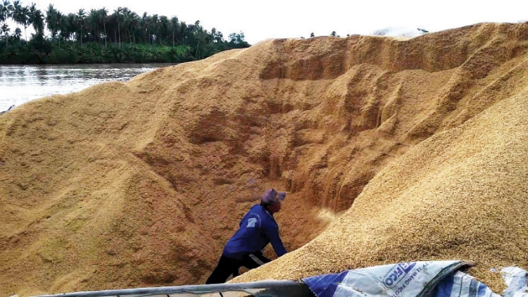 The potential of rice power